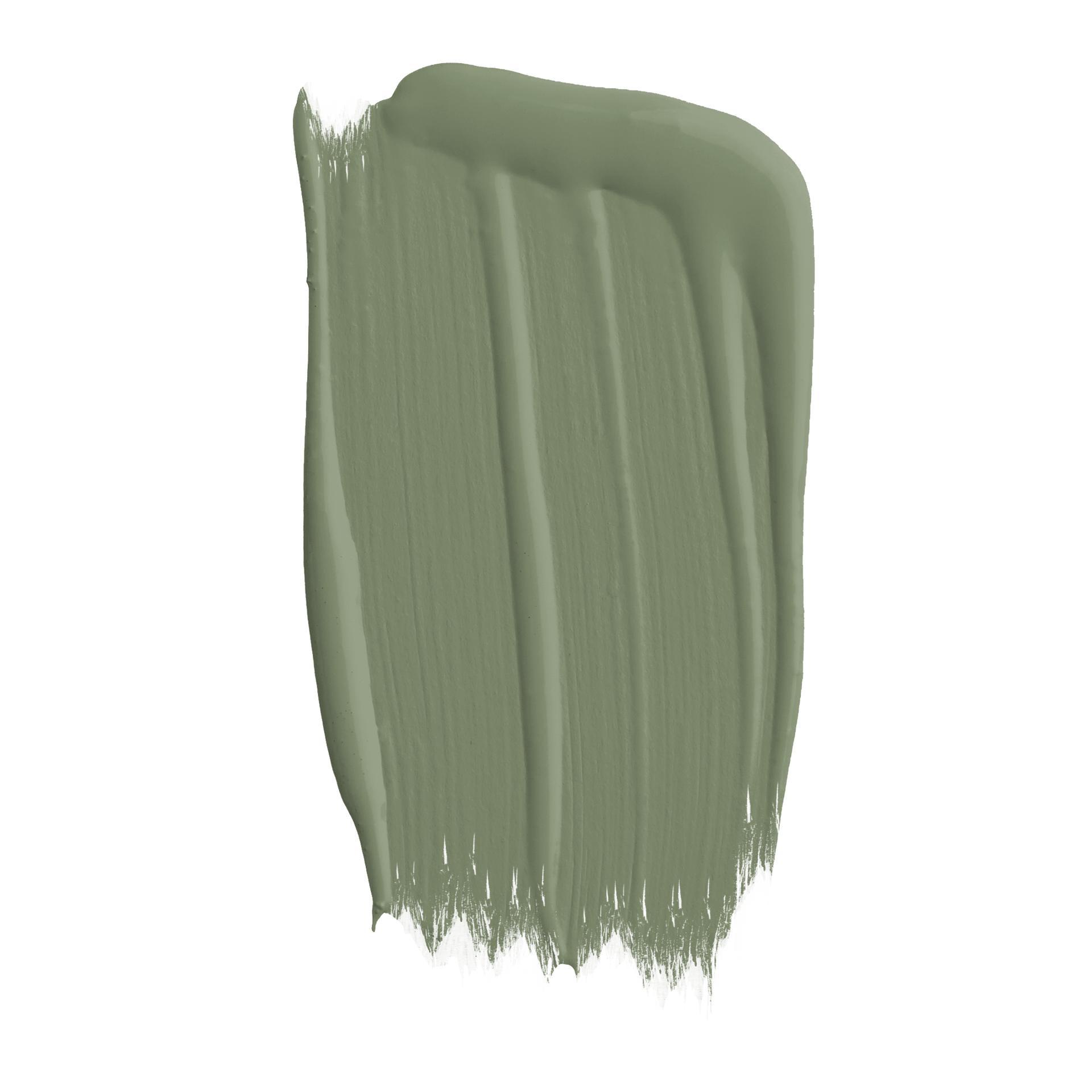 Deep Adam Green l 1829 Vintage Colours l Craig & Rose Paint