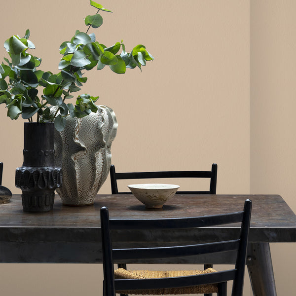 Regency Cream l 1829 Vintage Colours l Craig & Rose Paint